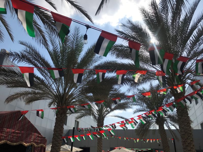 I'm so honored to be in the UAE on its 50th UAE National Day! Living ... I'm so honored to be in the UAE on its 50th UAE National Day! Living ...
