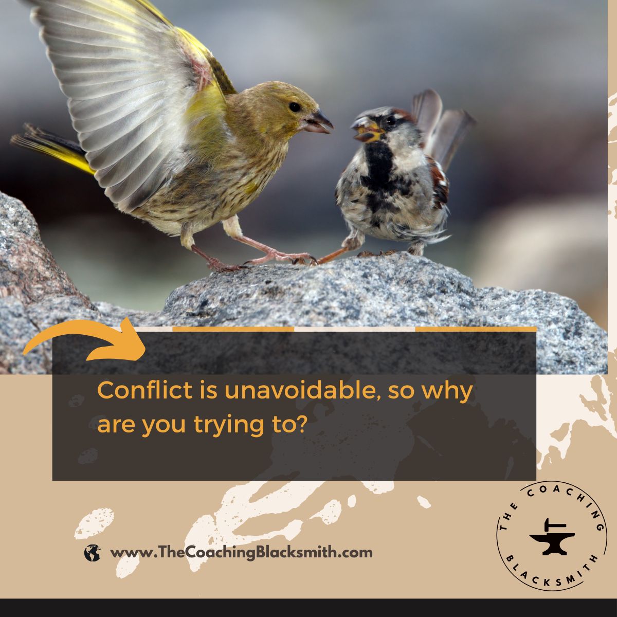 #conflict #stress #deliveryfatigue #coachingforsurvival | The Coaching ... #conflict #stress #deliveryfatigue #coachingforsurvival | The Coaching ...