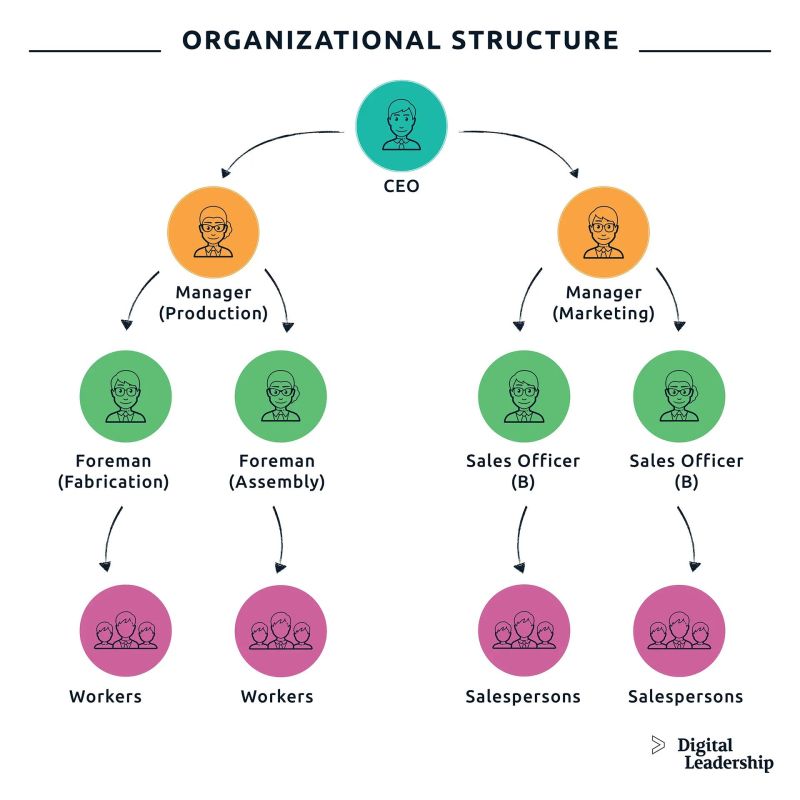 Digital Leadership AG auf LinkedIn: Organizational Structure Definition ... Digital Leadership AG auf LinkedIn: Organizational Structure Definition ...