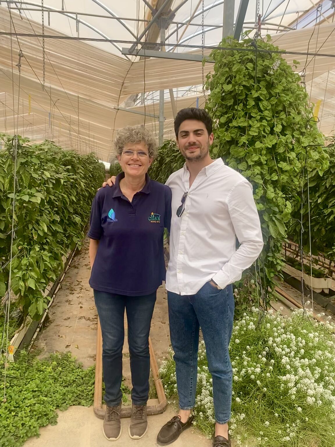 Mohamad Najem on LinkedIn: #sustainable #agriculture #greenhouses Mohamad Najem on LinkedIn: #sustainable #agriculture #greenhouses