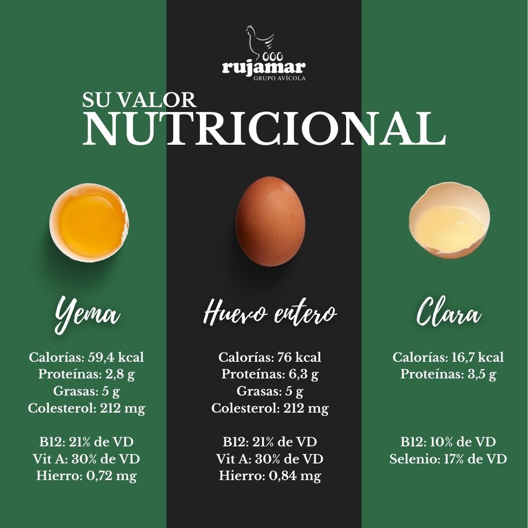 Grupo Avícola Rujamar en LinkedIn: ¿Conoces las diferencias ... Grupo Avícola Rujamar en LinkedIn: ¿Conoces las diferencias ...