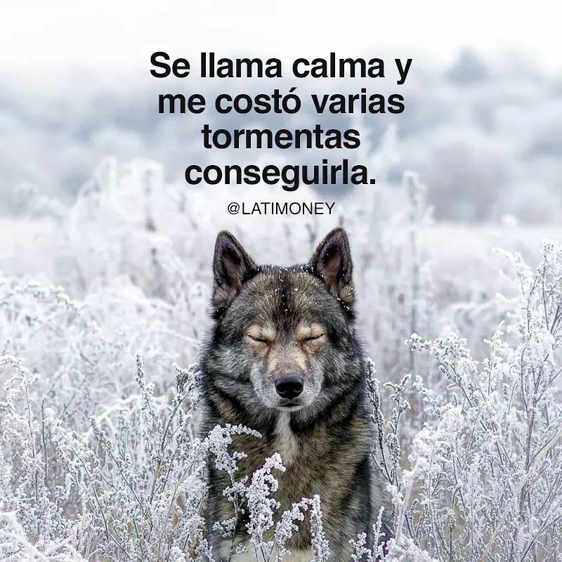 Juan Pablo Ramirez Archila posted on LinkedIn Juan Pablo Ramirez Archila posted on LinkedIn