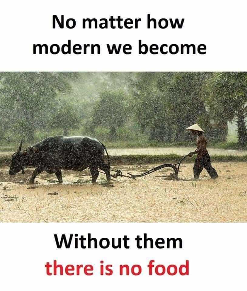 chinmaya V posted on LinkedIn chinmaya V posted on LinkedIn