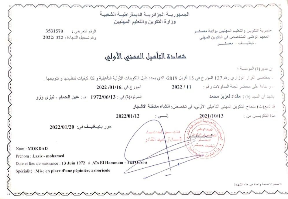 Laziz Mohamed Mokdad posted on LinkedIn Laziz Mohamed Mokdad posted on LinkedIn
