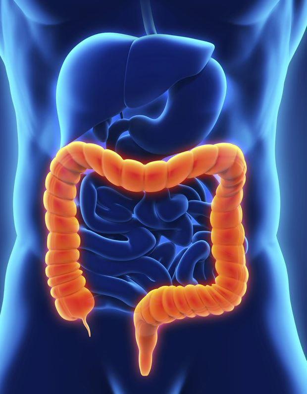 Nestlé Nutrition Institute on LinkedIn: Researchers find that gut ... Nestlé Nutrition Institute on LinkedIn: Researchers find that gut ...