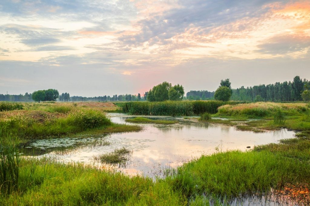 Mott MacDonald on LinkedIn: Biodiversity and flood risk benefits from ... Mott MacDonald on LinkedIn: Biodiversity and flood risk benefits from ...