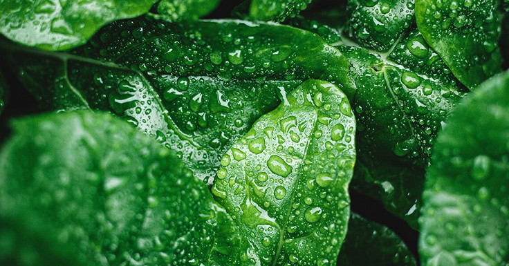 Maryam Adamji on LinkedIn: HM Treasury consults on regulating ESG ... Maryam Adamji on LinkedIn: HM Treasury consults on regulating ESG ...