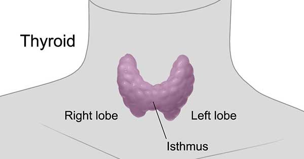 Zenab D on LinkedIn: Test Identifies Thyroid Nodules That Don’t Require ... Zenab D on LinkedIn: Test Identifies Thyroid Nodules That Don’t Require ...
