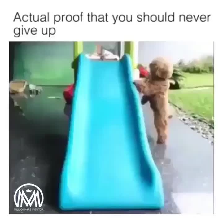 Umbereen S. Nehal, MD, MPH, MBA on LinkedIn: Love this video. Though ... Umbereen S. Nehal, MD, MPH, MBA on LinkedIn: Love this video. Though ...