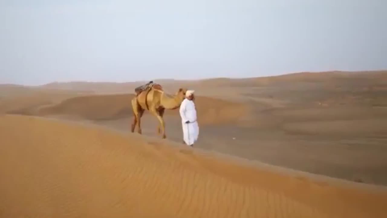 Abdullah Saif Al Hosni posted on LinkedIn Abdullah Saif Al Hosni posted on LinkedIn