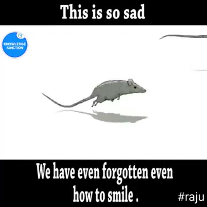 P Santhosh Kumar posted on LinkedIn P Santhosh Kumar posted on LinkedIn