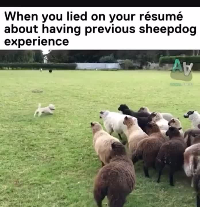 Alex Liu on LinkedIn: Experience does matter Jaron Liu Edgar Tan Dan ... Alex Liu on LinkedIn: Experience does matter Jaron Liu Edgar Tan Dan ...