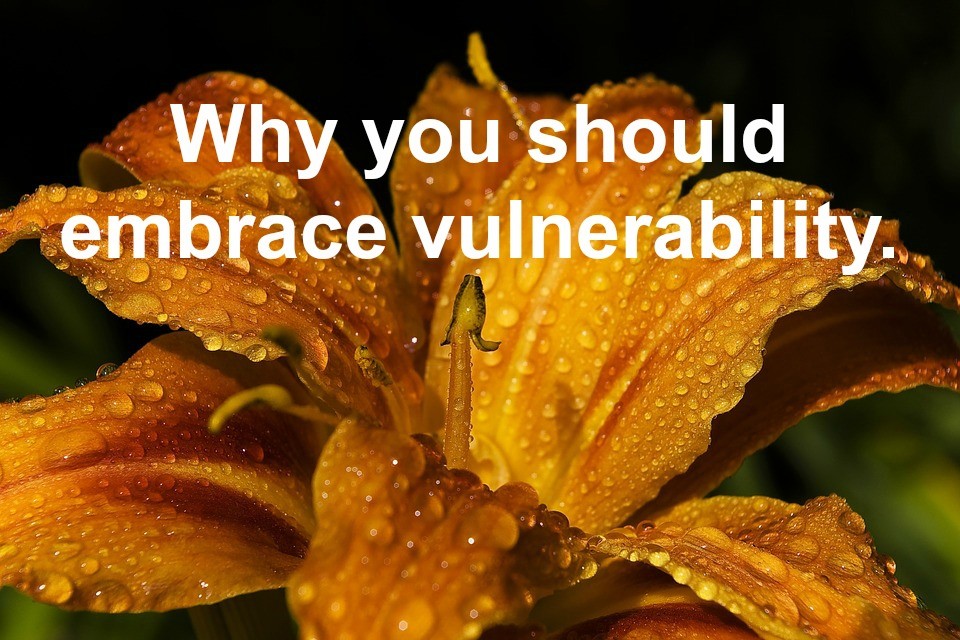 Why you should embrace vulnerability. Why you should embrace vulnerability.