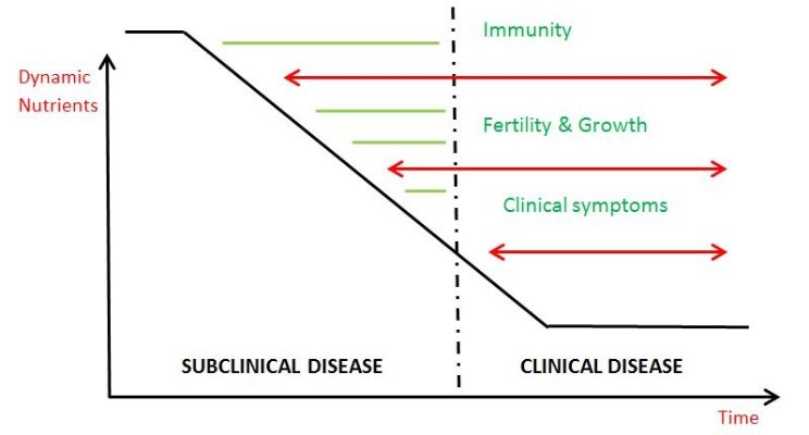 Dynamic nutrients can make the difference Dynamic nutrients can make the difference
