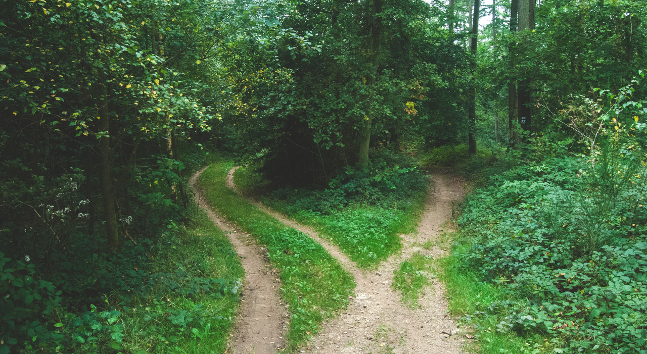 3 Tips to Successfully Change Career Paths 3 Tips to Successfully Change Career Paths