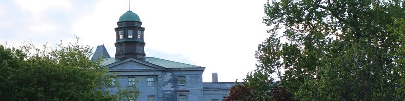 Mehdi Babaei, PhD - Faculty Lecturer - McGill University | LinkedIn Mehdi Babaei, PhD - Faculty Lecturer - McGill University | LinkedIn