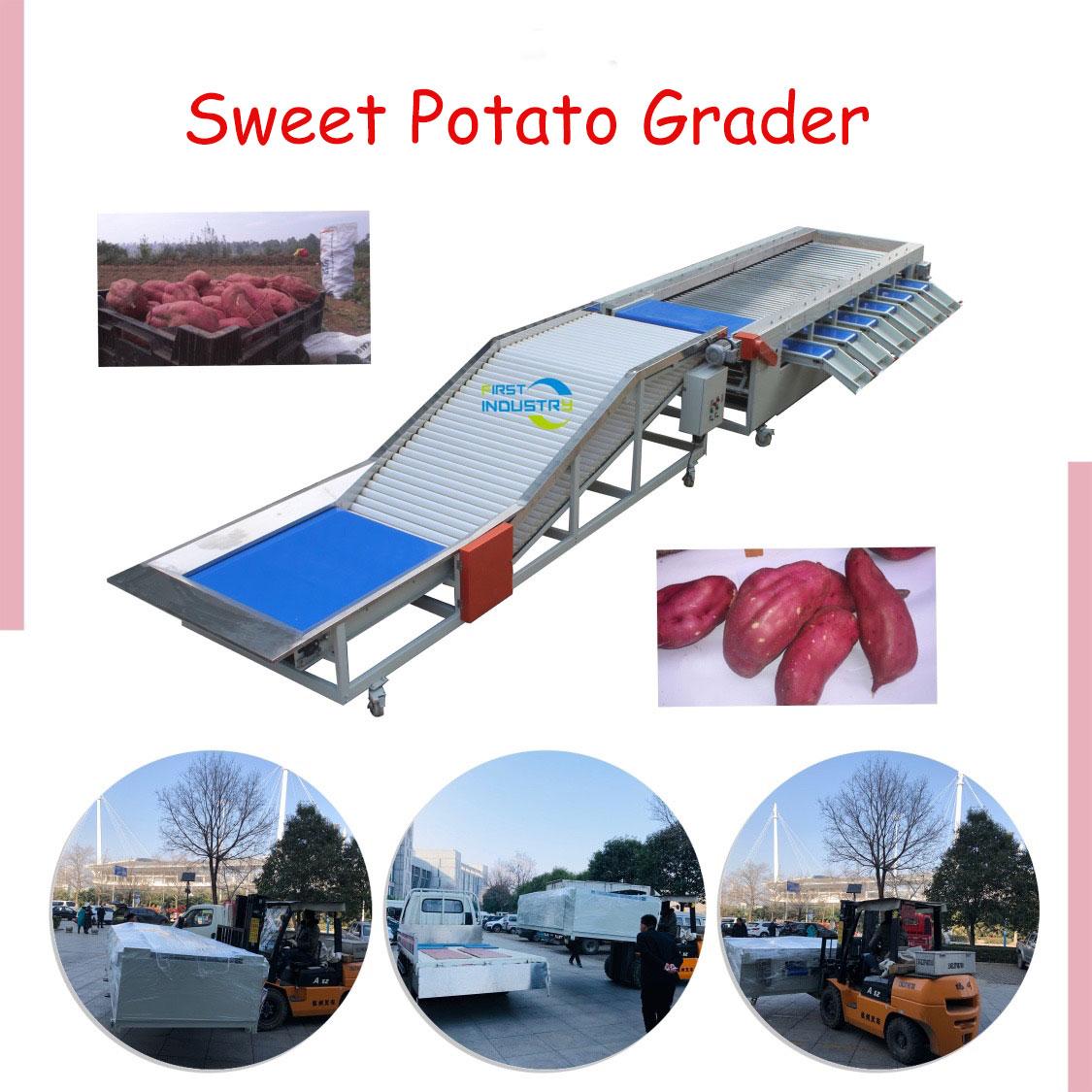 Iris Shi on LinkedIn: #sweet_potatoes #sweet_potato_grader #sweet ... Iris Shi on LinkedIn: #sweet_potatoes #sweet_potato_grader #sweet ...