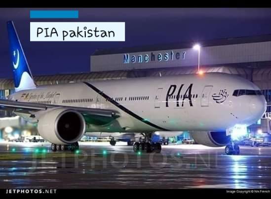 Zain Ul haq on LinkedIn: #pia #pakistani Zain Ul haq on LinkedIn: #pia #pakistani