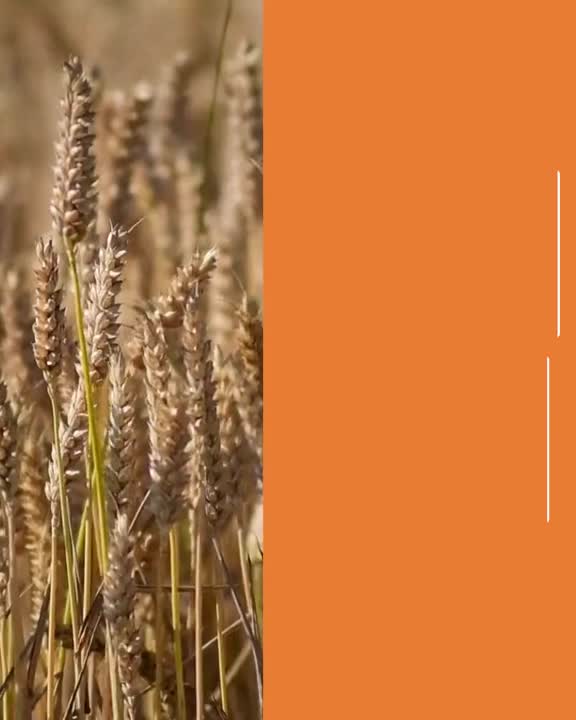 Aerial Vantage on LinkedIn: #agriculture #drones Aerial Vantage on LinkedIn: #agriculture #drones