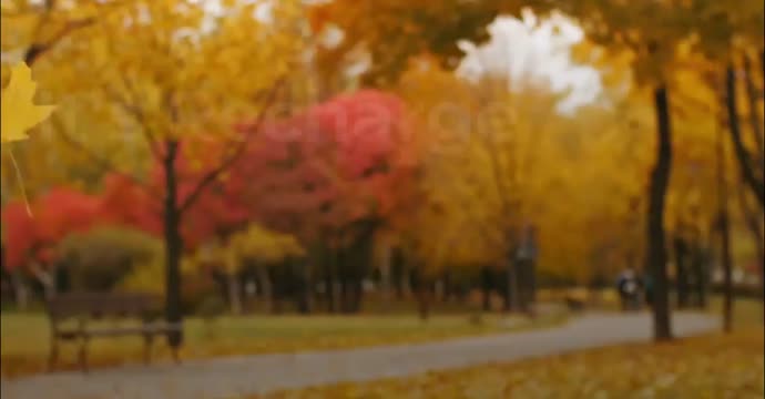 Christopher Bernard on LinkedIn: #rechargeday #culture Christopher Bernard on LinkedIn: #rechargeday #culture