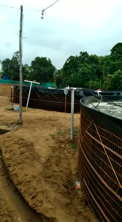 Kaliaperumal Alagu on LinkedIn: Biofloc shrimp 🦐🦐🦐 farming in inland ... Kaliaperumal Alagu on LinkedIn: Biofloc shrimp 🦐🦐🦐 farming in inland ...