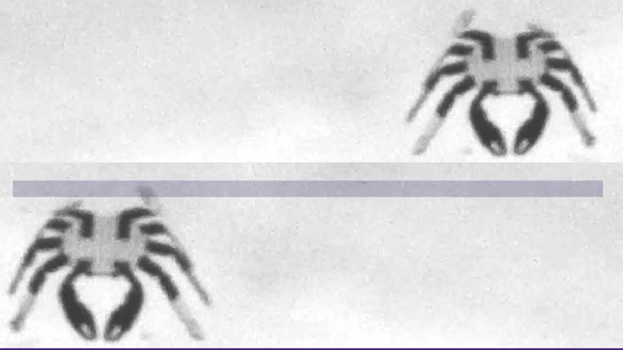 Drone Fisher on LinkedIn: Tiny robotic crab is smallest-ever remote ... Drone Fisher on LinkedIn: Tiny robotic crab is smallest-ever remote ...