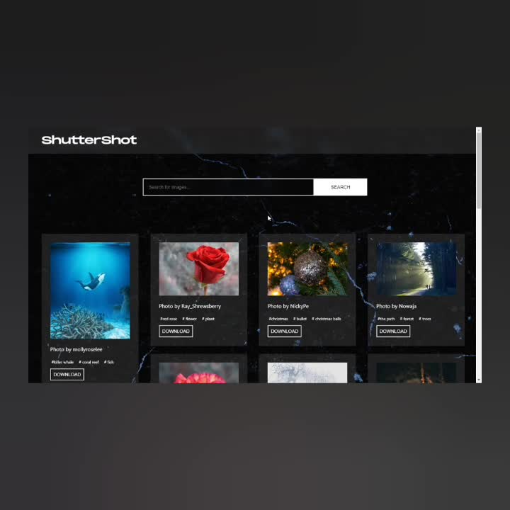 Rehan Ankalgi on LinkedIn: #reactjs #design #css #javascript # ... Rehan Ankalgi on LinkedIn: #reactjs #design #css #javascript # ...
