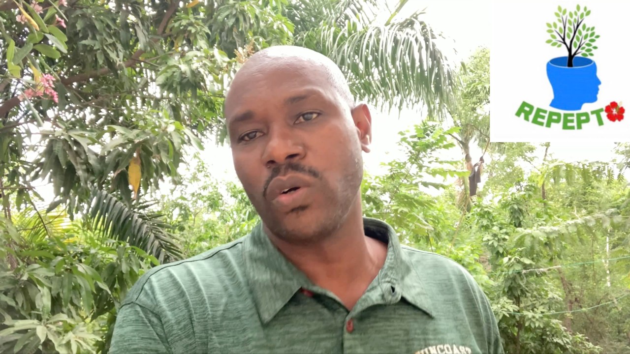 Gregori Petit on LinkedIn: Ou te vin jwenn sa ansyen yo te kite pou’w ... Gregori Petit on LinkedIn: Ou te vin jwenn sa ansyen yo te kite pou’w ...