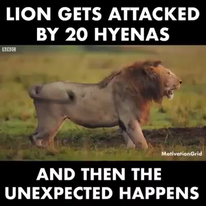 Mark Bryce on LinkedIn: #motivateme | 121 comments Mark Bryce on LinkedIn: #motivateme | 121 comments