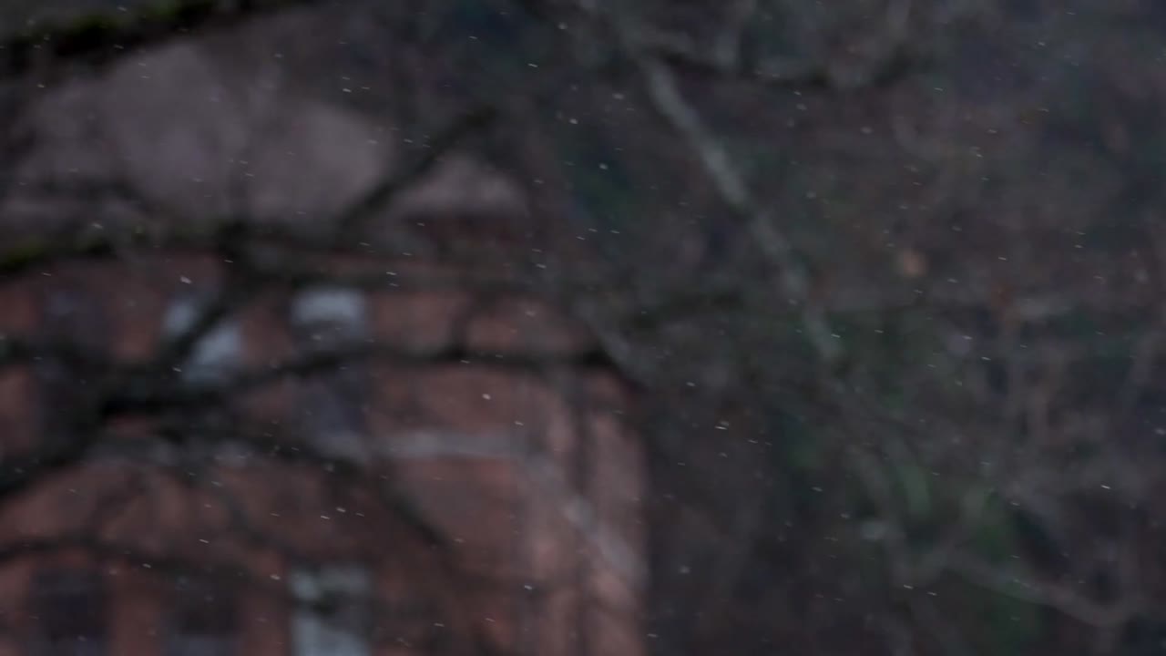 Western Washington University on LinkedIn: Our warmest wishes to you ... Western Washington University on LinkedIn: Our warmest wishes to you ...