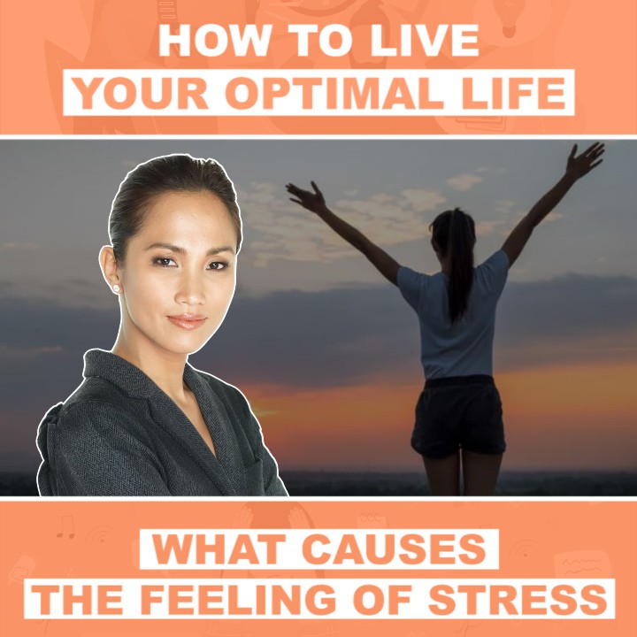 Joy Vanichkul on LinkedIn: How does your body react to stress? Stress ... Joy Vanichkul on LinkedIn: How does your body react to stress? Stress ...