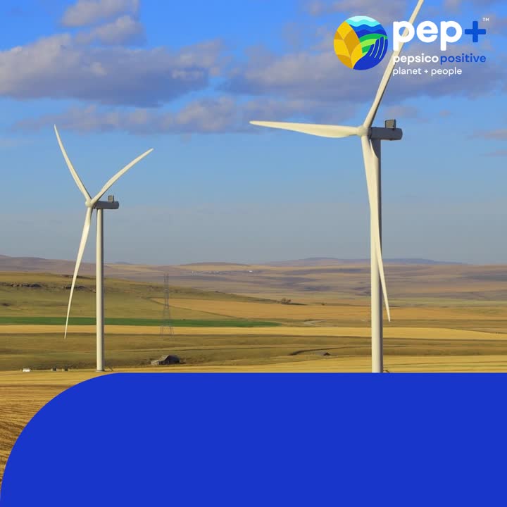 Ayman Mourad on LinkedIn: World Environment Day Ayman Mourad on LinkedIn: World Environment Day