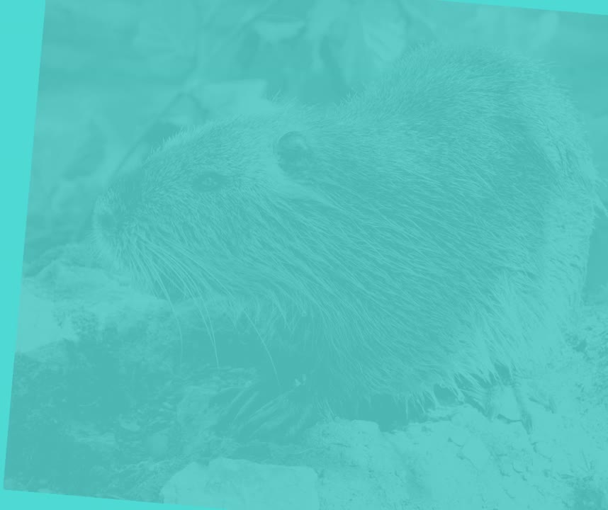 Phượng Đặng (Flora) on LinkedIn: #backend #nodejs #golang #java #laravel Phượng Đặng (Flora) on LinkedIn: #backend #nodejs #golang #java #laravel