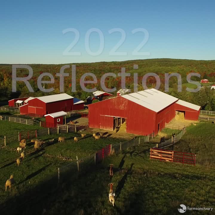 Cynthia von Schlichten on LinkedIn: 2022 Reflections Cynthia von Schlichten on LinkedIn: 2022 Reflections