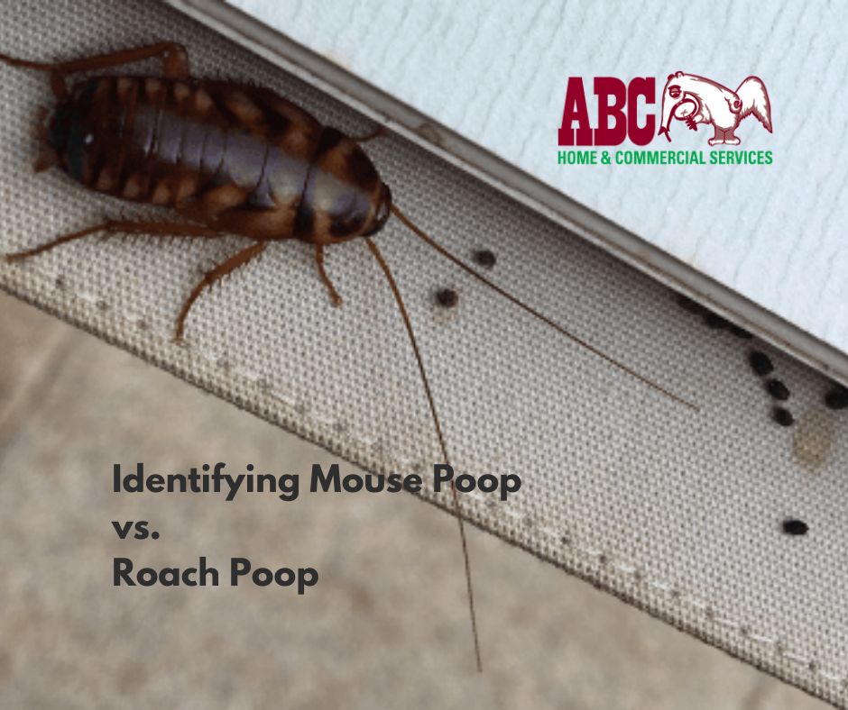ABC Home & Commercial Services of DFW, Inc. on LinkedIn: Identifying ... ABC Home & Commercial Services of DFW, Inc. on LinkedIn: Identifying ...