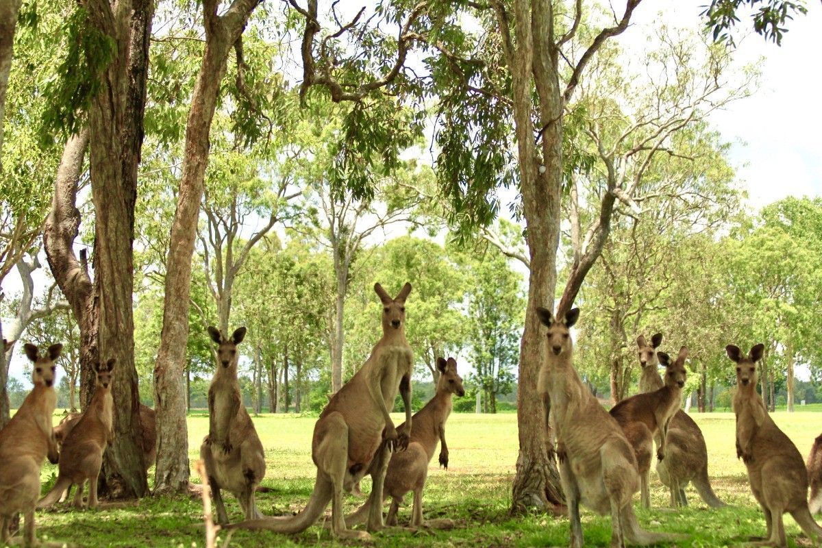 Mike Tamir, PhD on LinkedIn: Things You Can do Using Kangas Library in ... Mike Tamir, PhD on LinkedIn: Things You Can do Using Kangas Library in ...