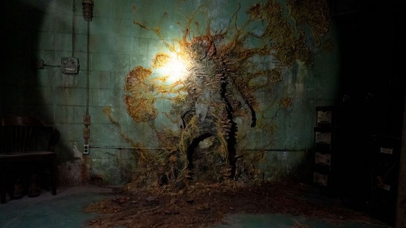 Valentin Kaiser on LinkedIn: Fungi don’t turn humans into zombies. But ... Valentin Kaiser on LinkedIn: Fungi don’t turn humans into zombies. But ...