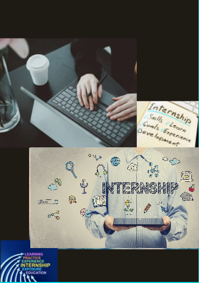 Industry Internship Program Industry Internship Program