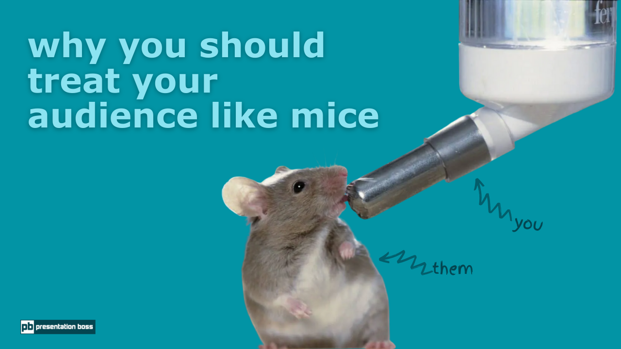 Why You Should Treat Your Audience Like Mice Why You Should Treat Your Audience Like Mice