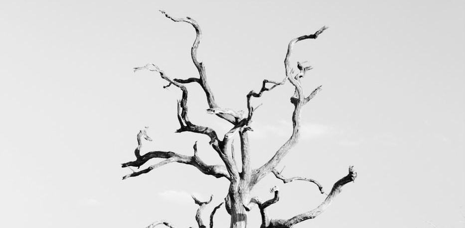 Inverting a binary tree: a lot easier than you think Inverting a binary tree: a lot easier than you think