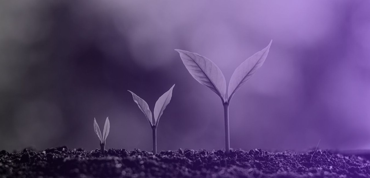 Product-Led Growth: The Framework behind Product-Led Growth: The Framework behind