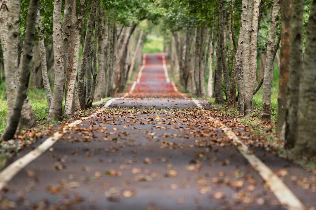 Virtues: My 52-week journey to a more virtuous life - week 41 ... Virtues: My 52-week journey to a more virtuous life - week 41 ...