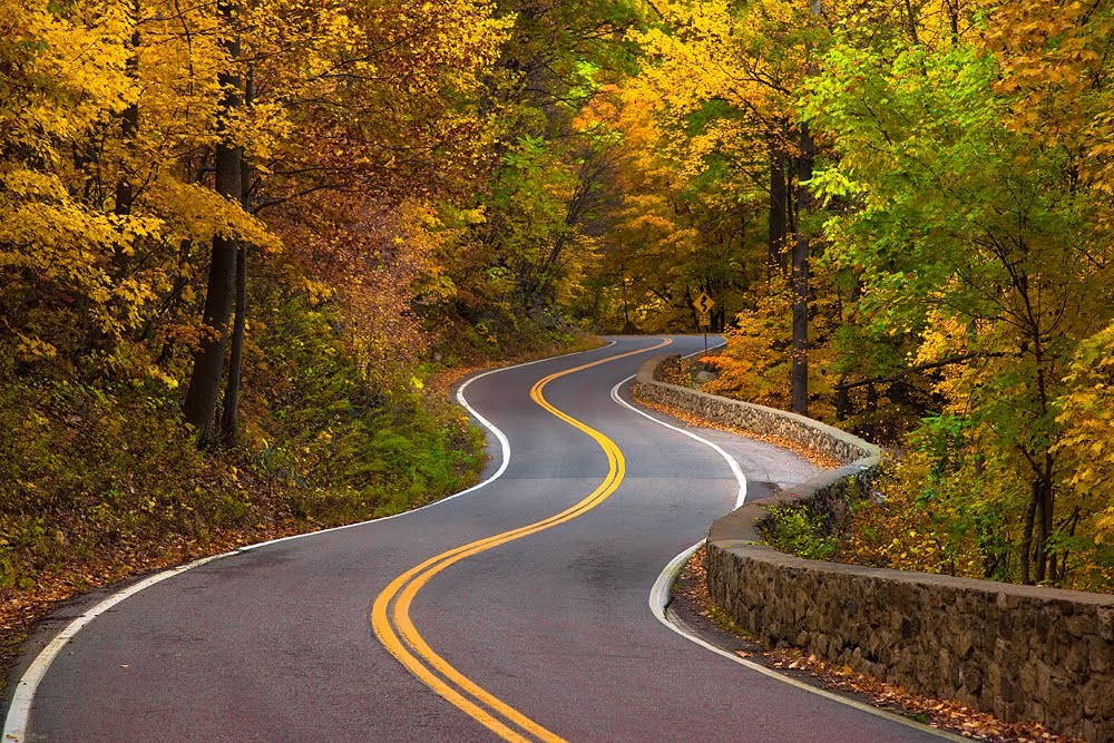 LCF Reflective Blog: Customer Journey LCF Reflective Blog: Customer Journey