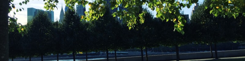 Nabil Hayet - AudioEye | LinkedIn Nabil Hayet - AudioEye | LinkedIn