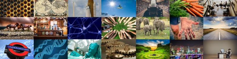 Alan Grogan on LinkedIn: Harness Real Time Intelligence for Microsoft ... Alan Grogan on LinkedIn: Harness Real Time Intelligence for Microsoft ...