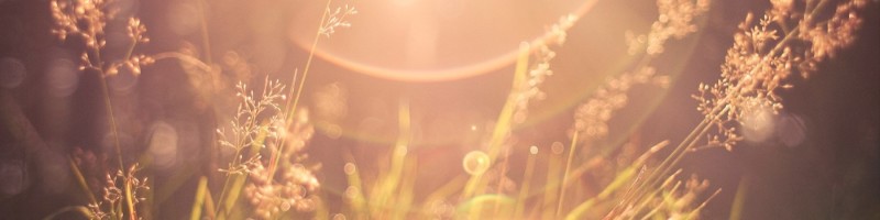 Genevieve Cameron (CAHRI) on LinkedIn: The Hazards of a “Nice” Company ... Genevieve Cameron (CAHRI) on LinkedIn: The Hazards of a “Nice” Company ...