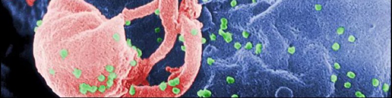 Emmanuel Ndashimye - Sr. Scientist, Biology-Discovery - Merck | LinkedIn Emmanuel Ndashimye - Sr. Scientist, Biology-Discovery - Merck | LinkedIn