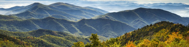 Ryan Ellis - Accounts Payable Manager - University of Virginia | LinkedIn Ryan Ellis - Accounts Payable Manager - University of Virginia | LinkedIn