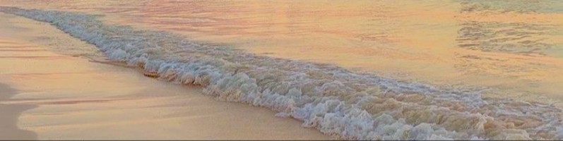 Apoorva Pathak - Advocate/ Director/ social Entrepreneur | LinkedIn Apoorva Pathak - Advocate/ Director/ social Entrepreneur | LinkedIn