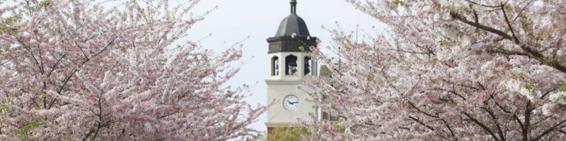 Molly Kerby, PhD - Assistant Provost for Institutional Effectiveness ... Molly Kerby, PhD - Assistant Provost for Institutional Effectiveness ...